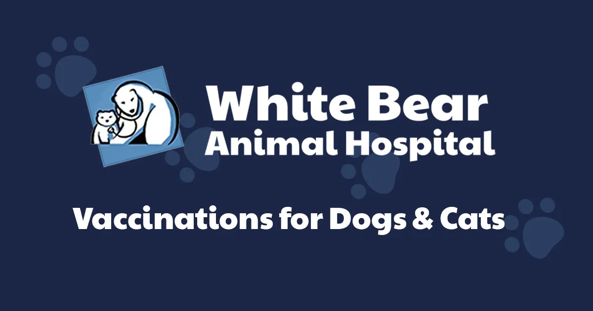 Vaccinations for Dogs & Cats - White Bear Animal Hospital